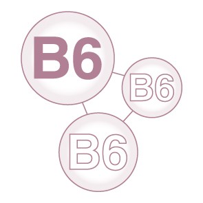 SEBUM NORMALIZING SHAMPOO - Foltene